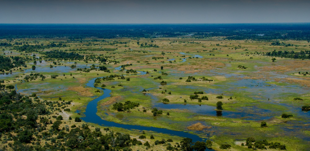 Delta do Okavango - Viagens & CIA