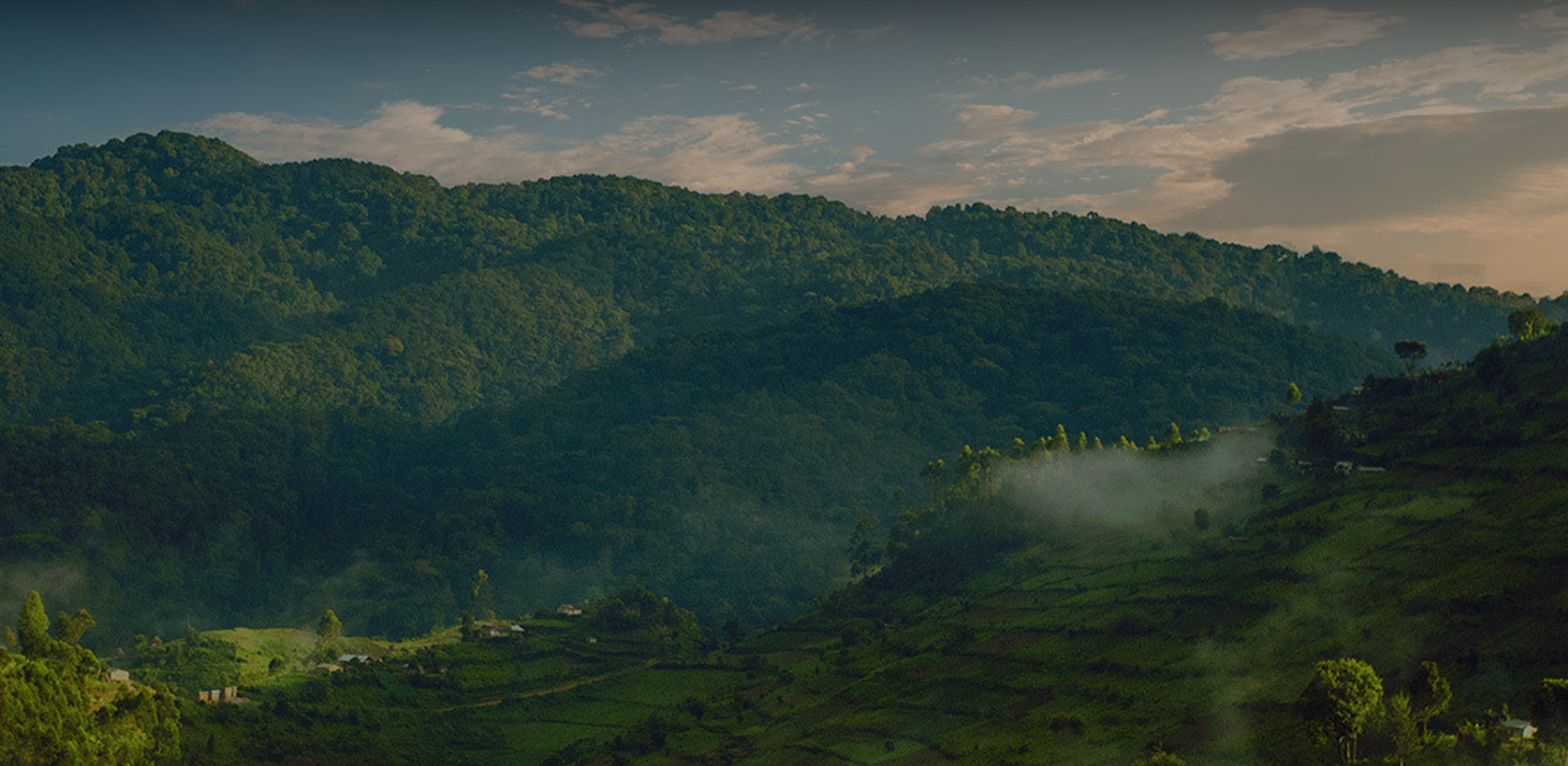 Bwindi - Viagens & CIA