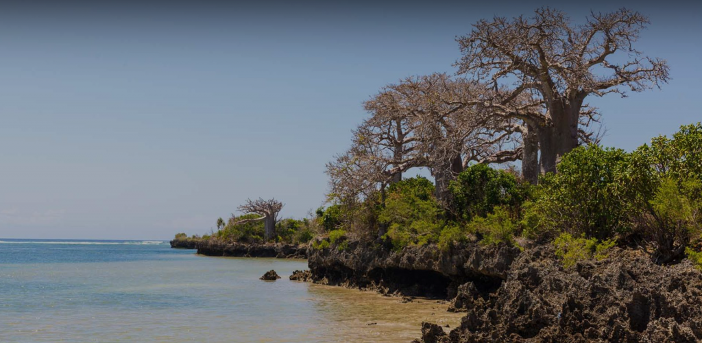 Pemba - Viagens & CIA