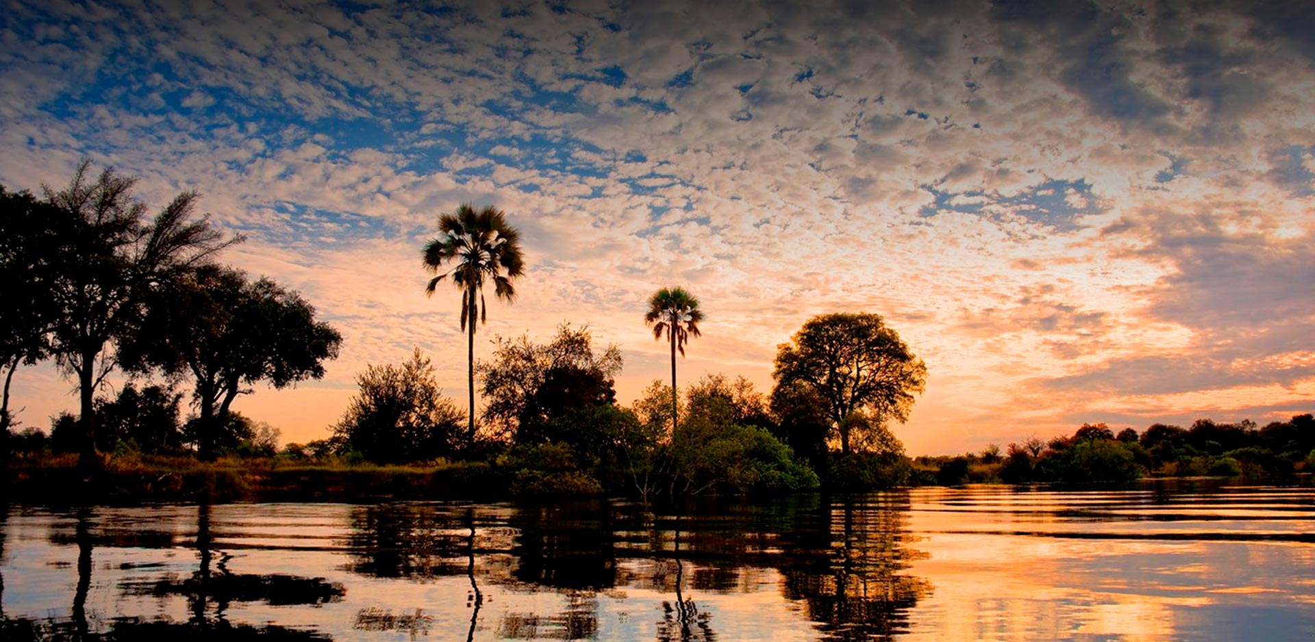 Conheça a Zâmbia (Baixo Zambeze, Livingstone & Sul de Luangwa ...
