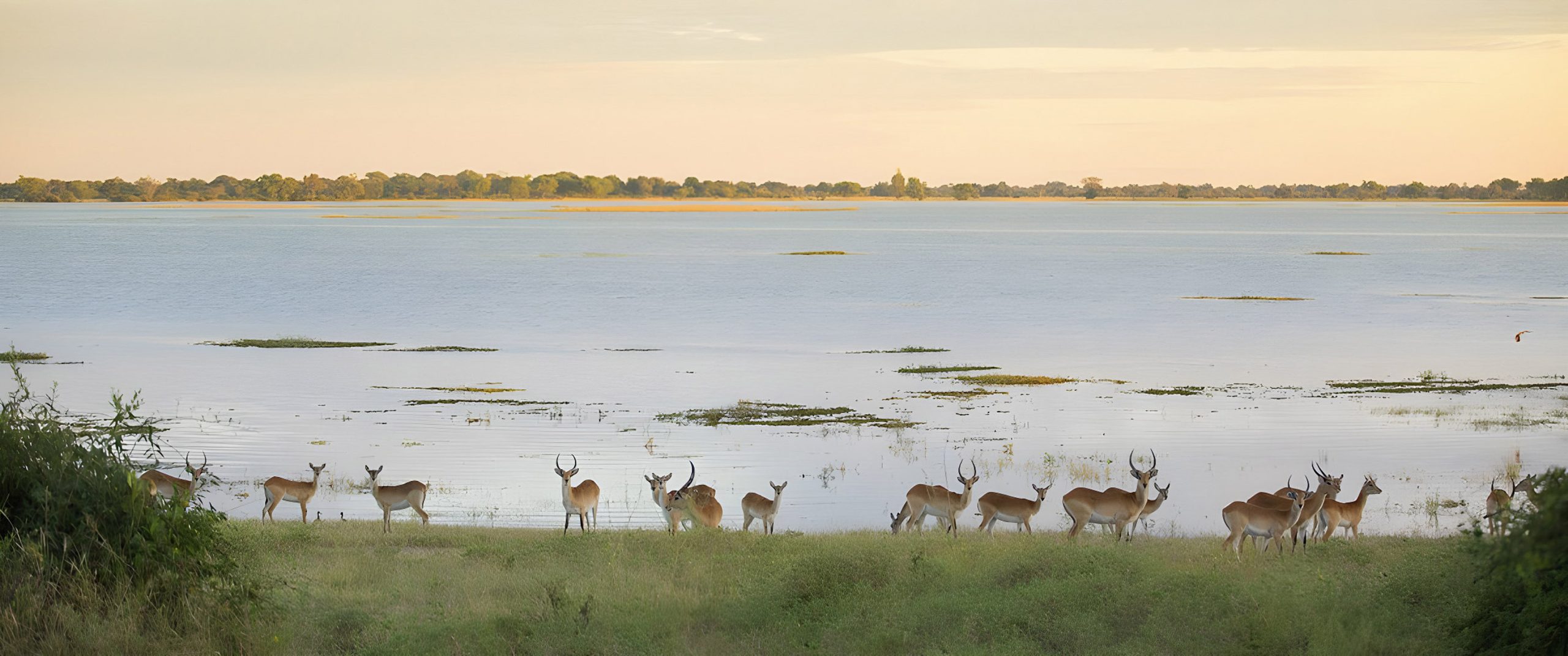 Botsuana Clássica by Machaba Safaris (Chobe & Khwai ou Delta do ...