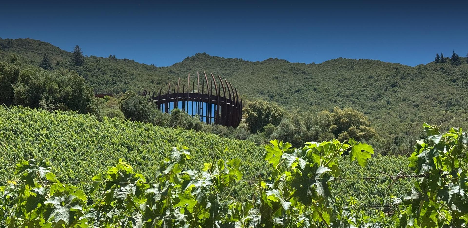Clos Apalta - Viagens & CIA